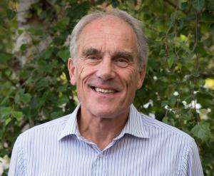 What has become of social work with adults? | BASW